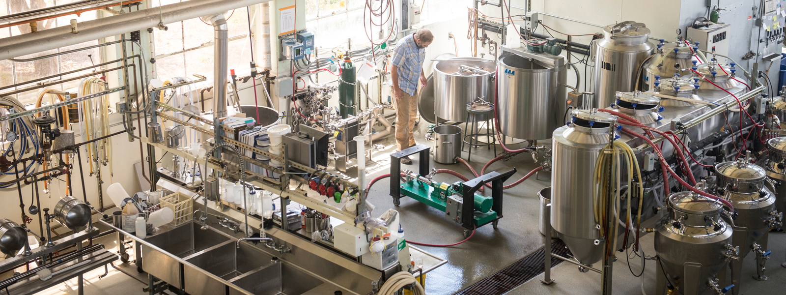 The science of better beer | Knowable Magazine
