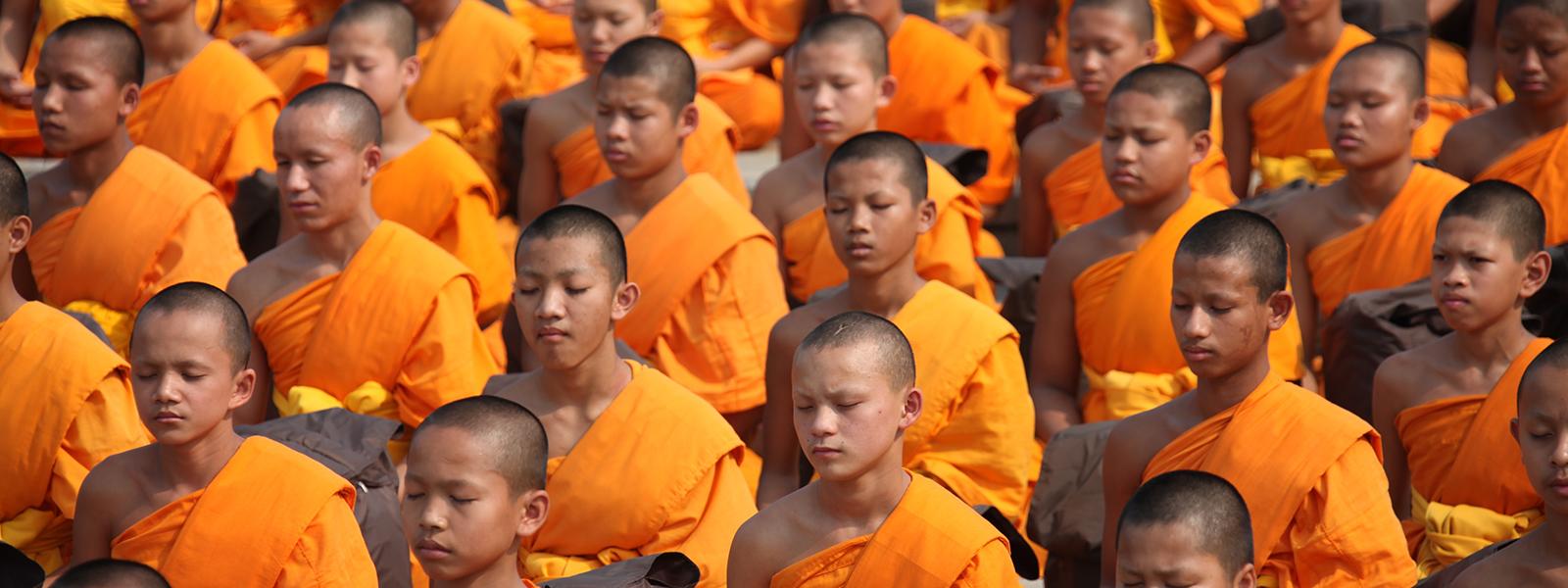 Peering into the meditating mind | Knowable Magazine