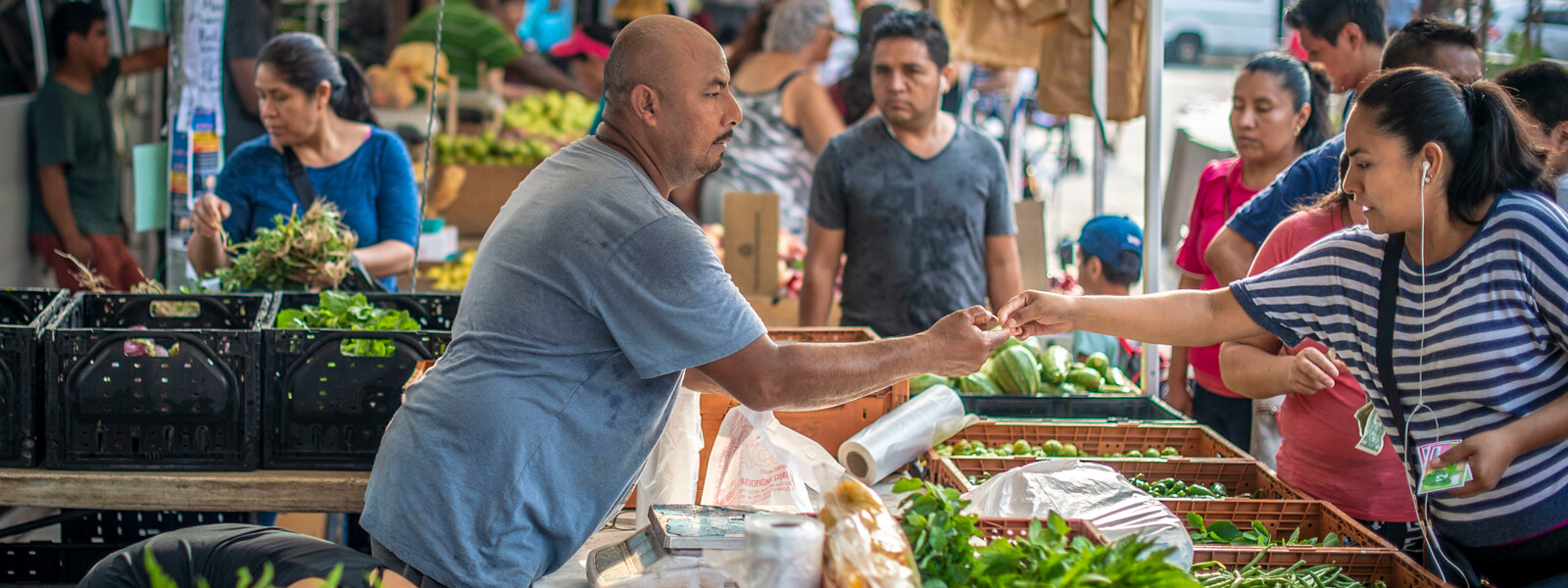 What makes food ‘local’? | Knowable Magazine