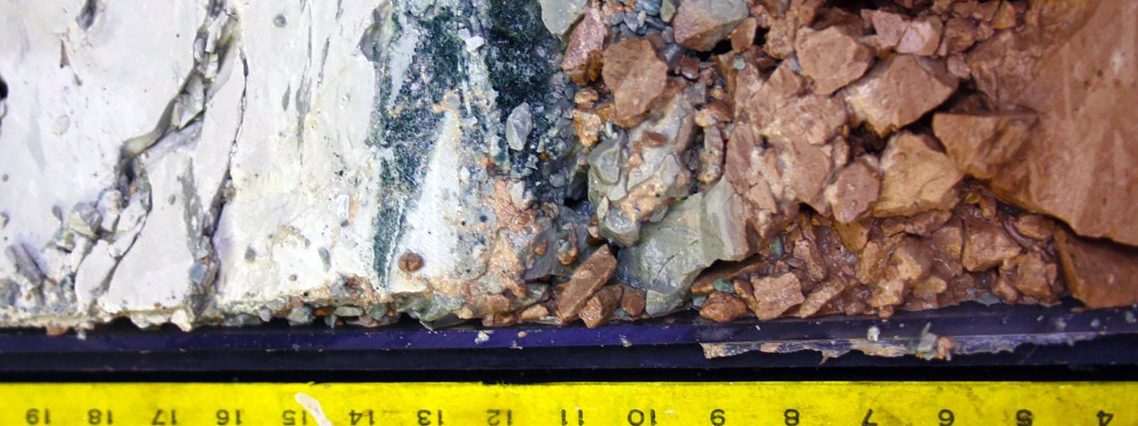 The marks of extinction | Knowable Magazine