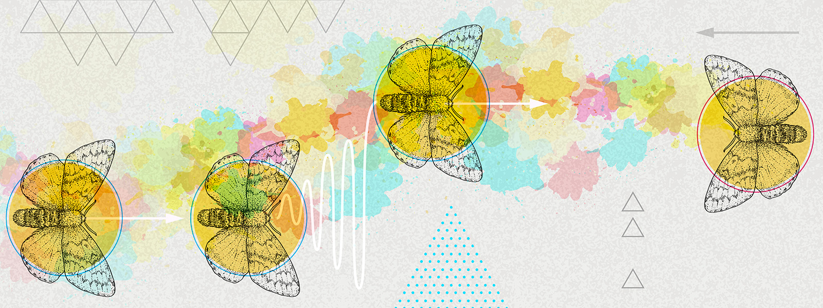 How animals track a scent | Knowable Magazine