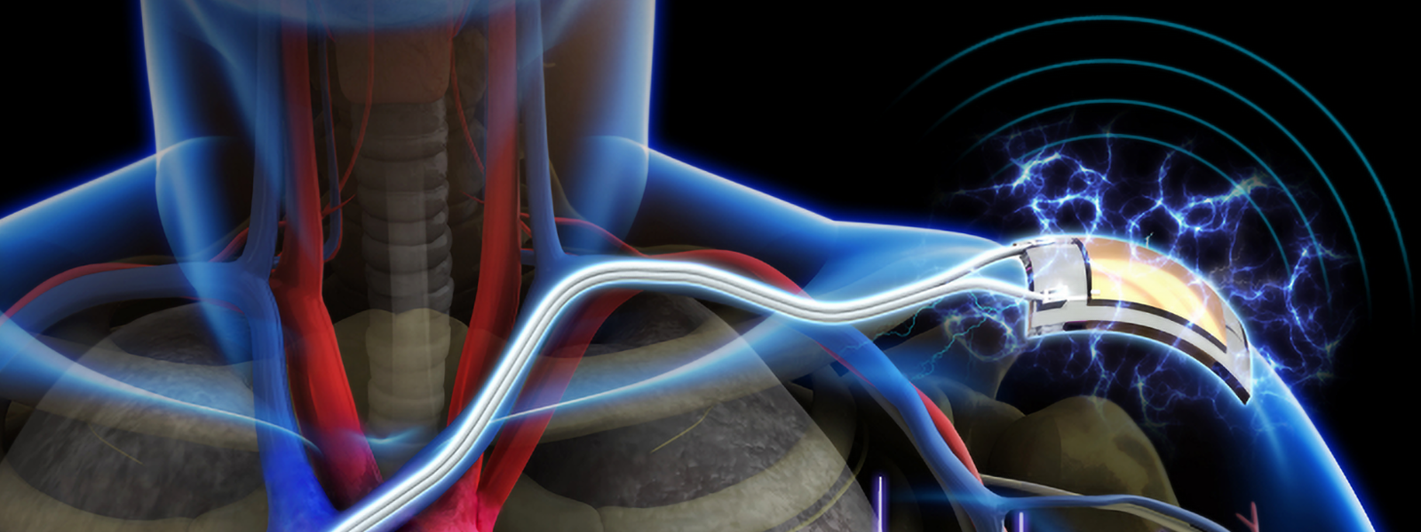 The body electric | Knowable Magazine