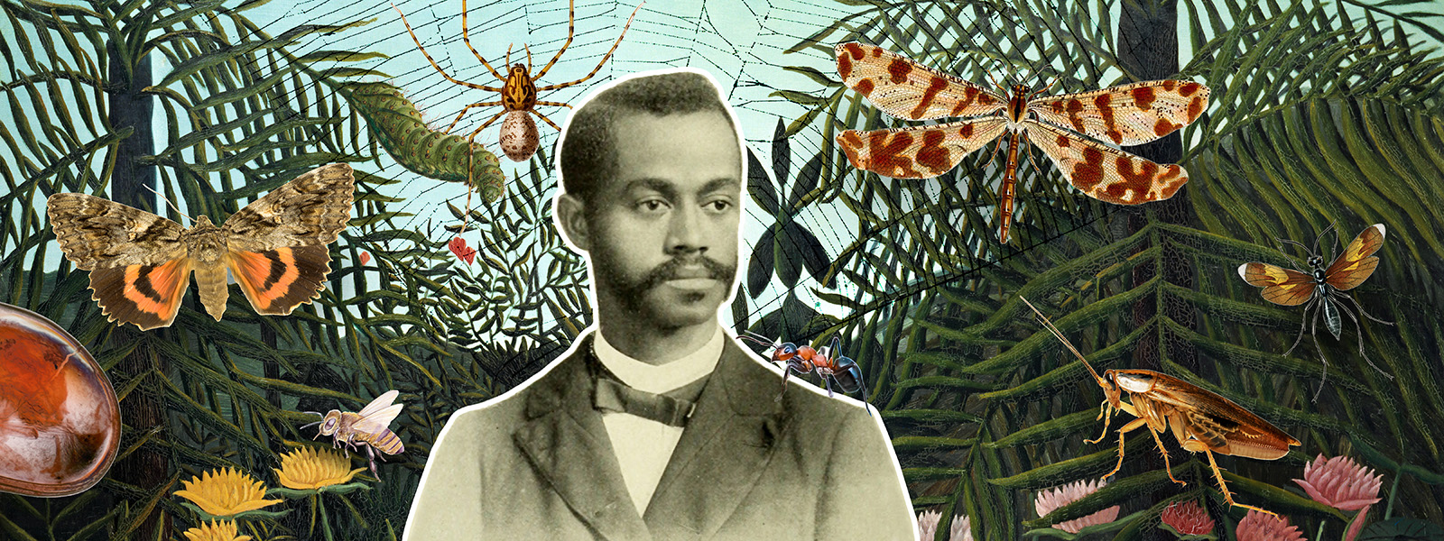 Charles Henry Turner’s insights into animal behavior were a century ...