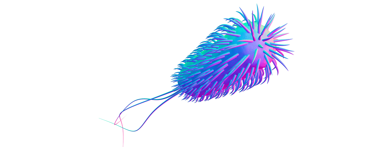 Cell meets robot in hybrid microbots | Knowable Magazine