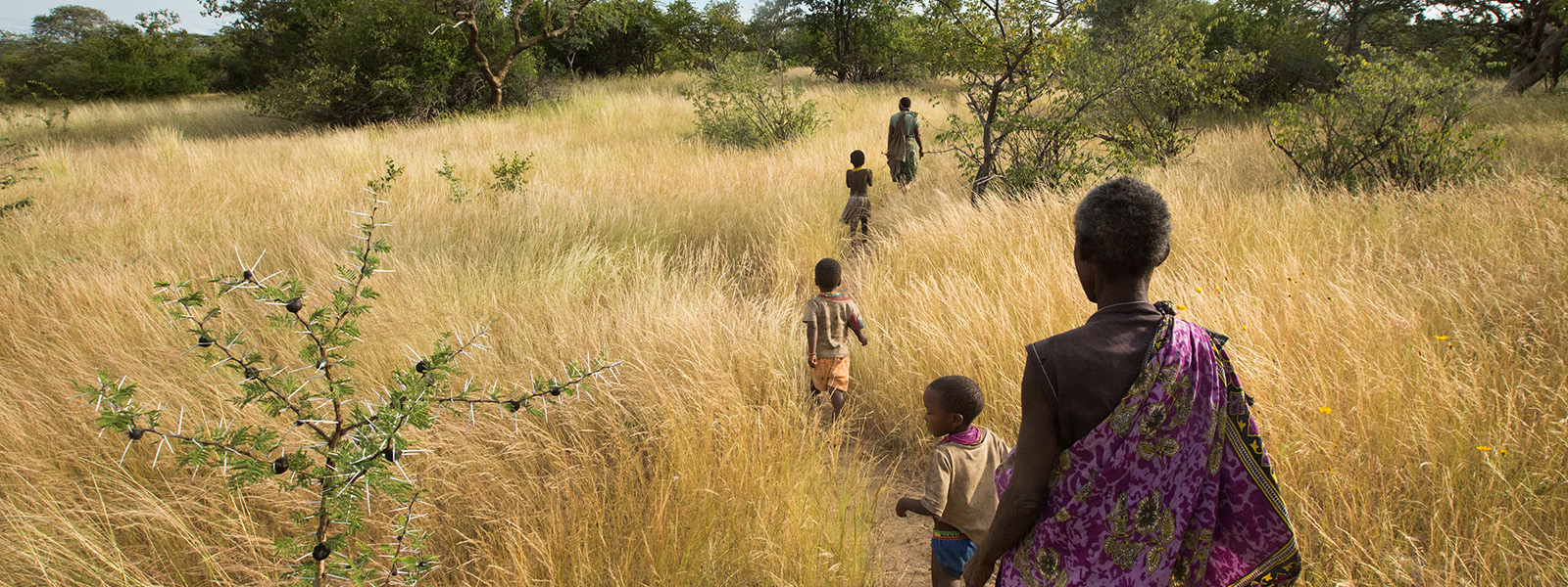 Our ancestors ate a Paleo diet. It had carbs. | Knowable Magazine