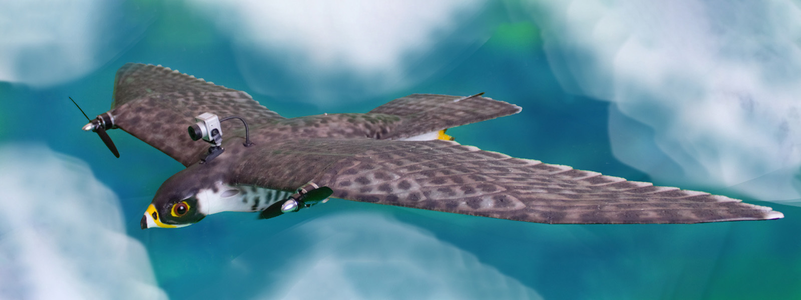 Wild robots: Five ways scientists are using robotics to study animal ...