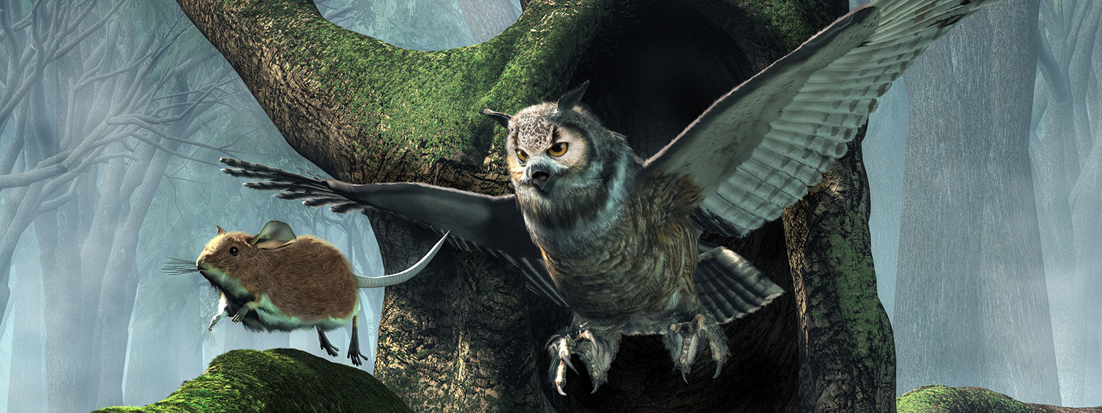 How the brain calculates a quick escape | Knowable Magazine