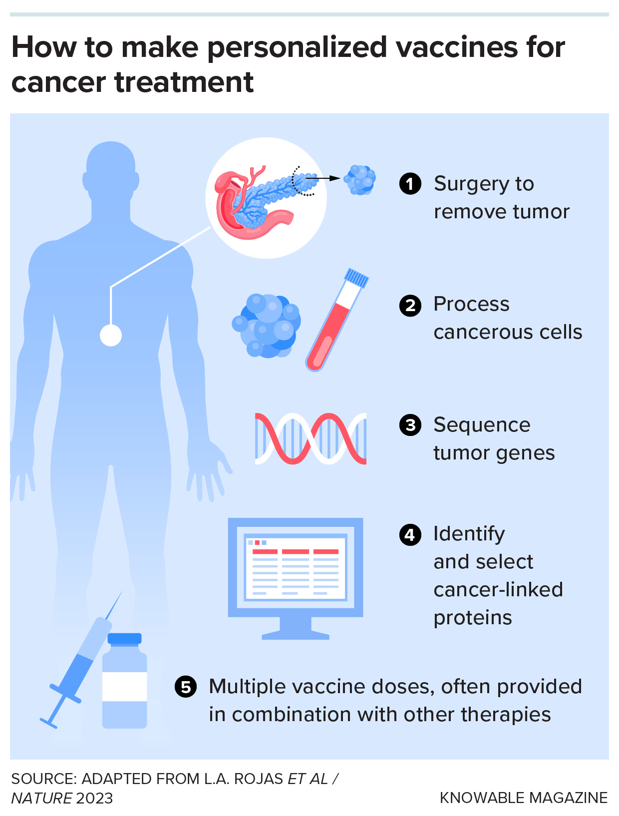 Scientists are making progress in treating pancreatic cancer | Knowable ...