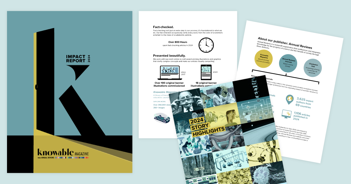 Our 2024 Impact Report | Knowable Magazine
