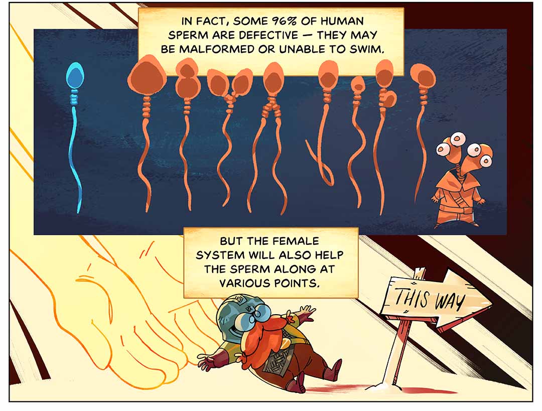 Sperm meets egg, but only after harrowing journey | Knowable Magazine