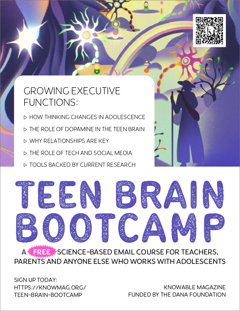 Teen Brain Bootcamp | Knowable Magazine